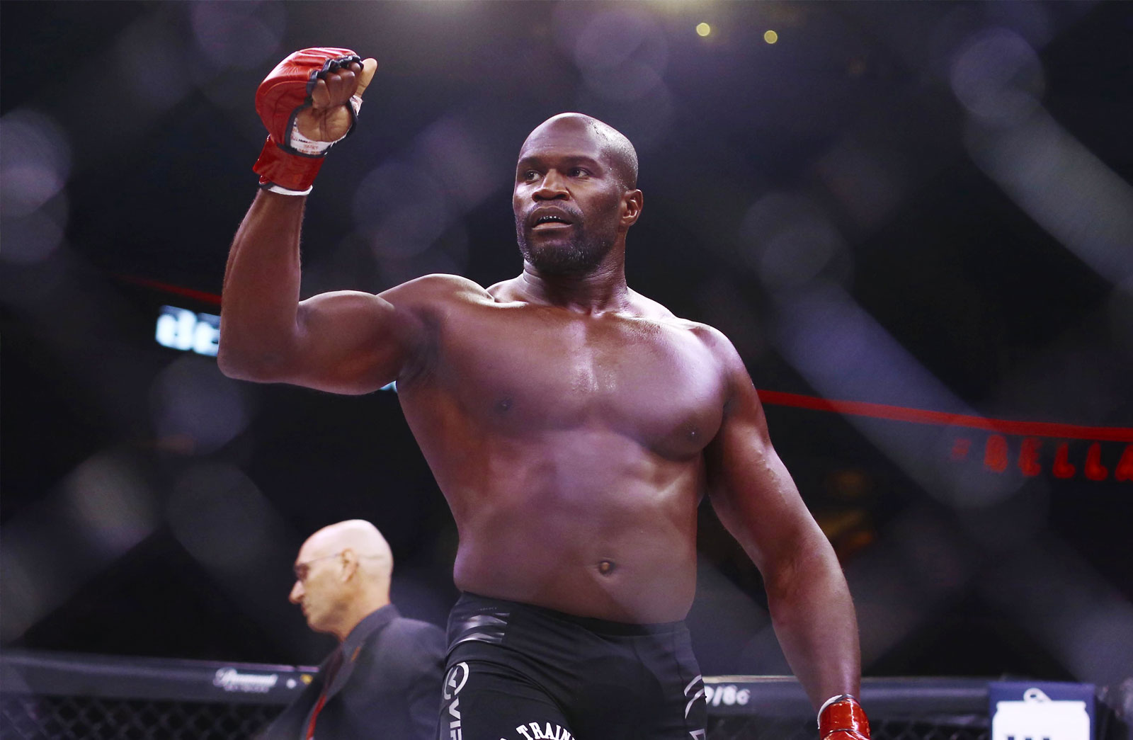 Le MMA enfin autorisé en France à partir de janvier 2020 | WAVE®