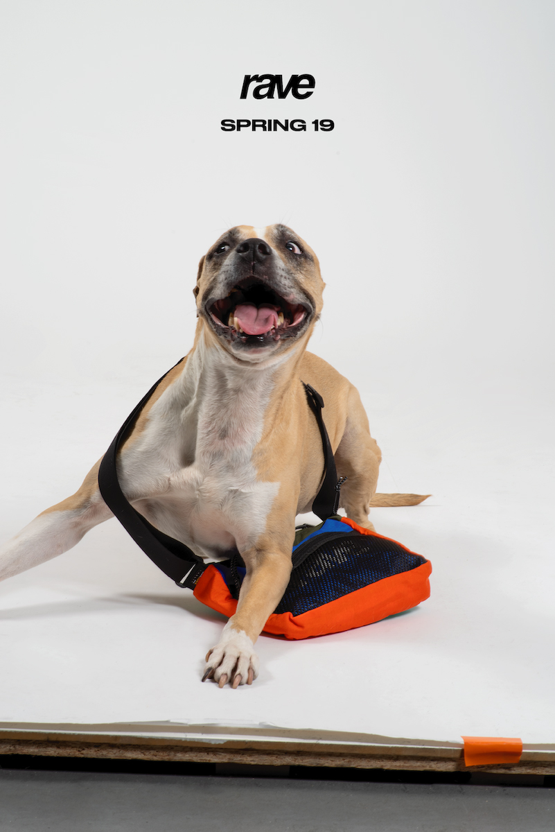 Un chien et des chaises sont les stars du lookbook Rave SS19 | WAVE®