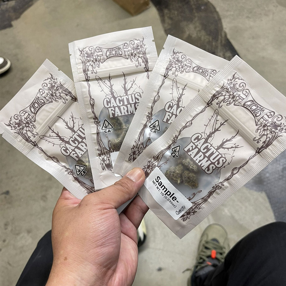 Travis Scott lance "Cactus Farm", sa marque de weed | WAVE®